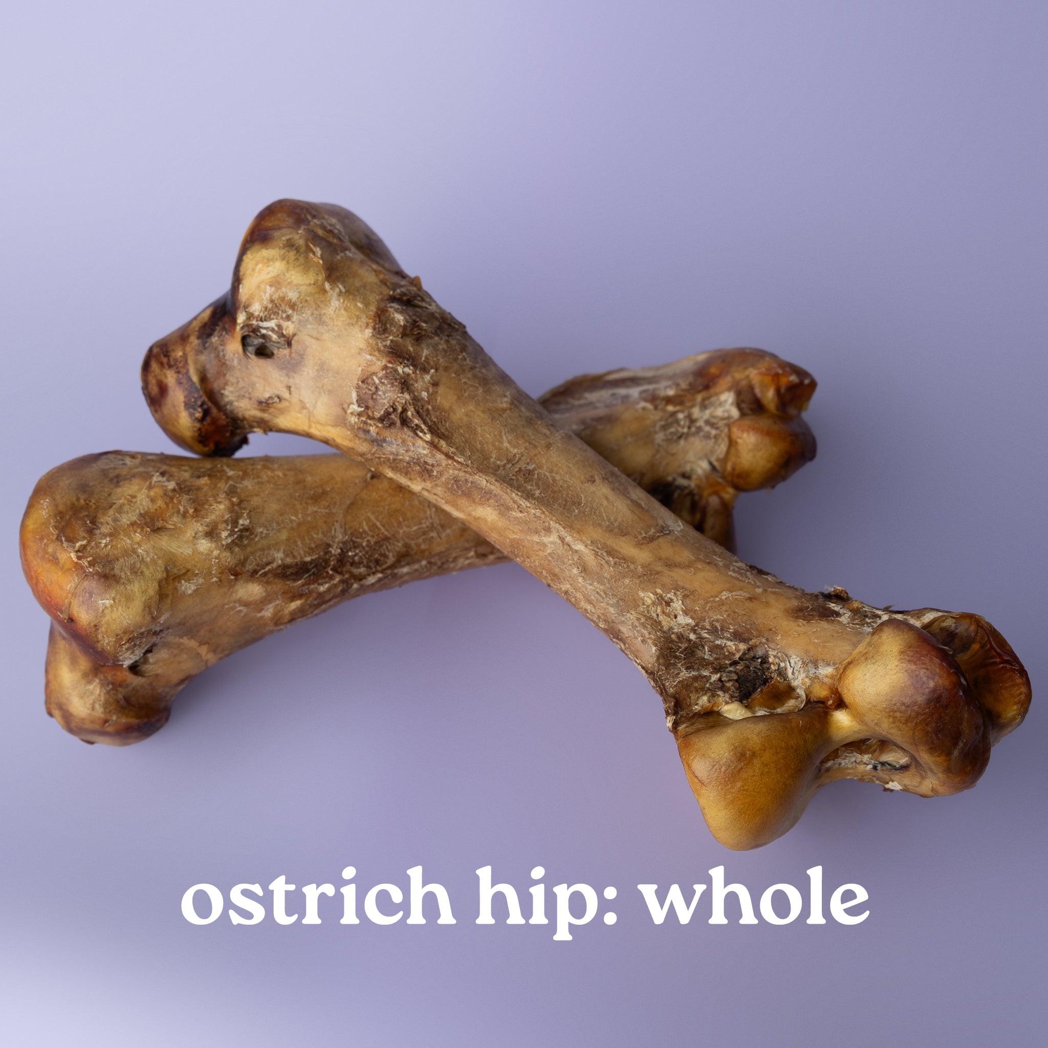 Ostrich Bones - Power Chewer Dog Treats | Non-Splintering Natural Bones ...